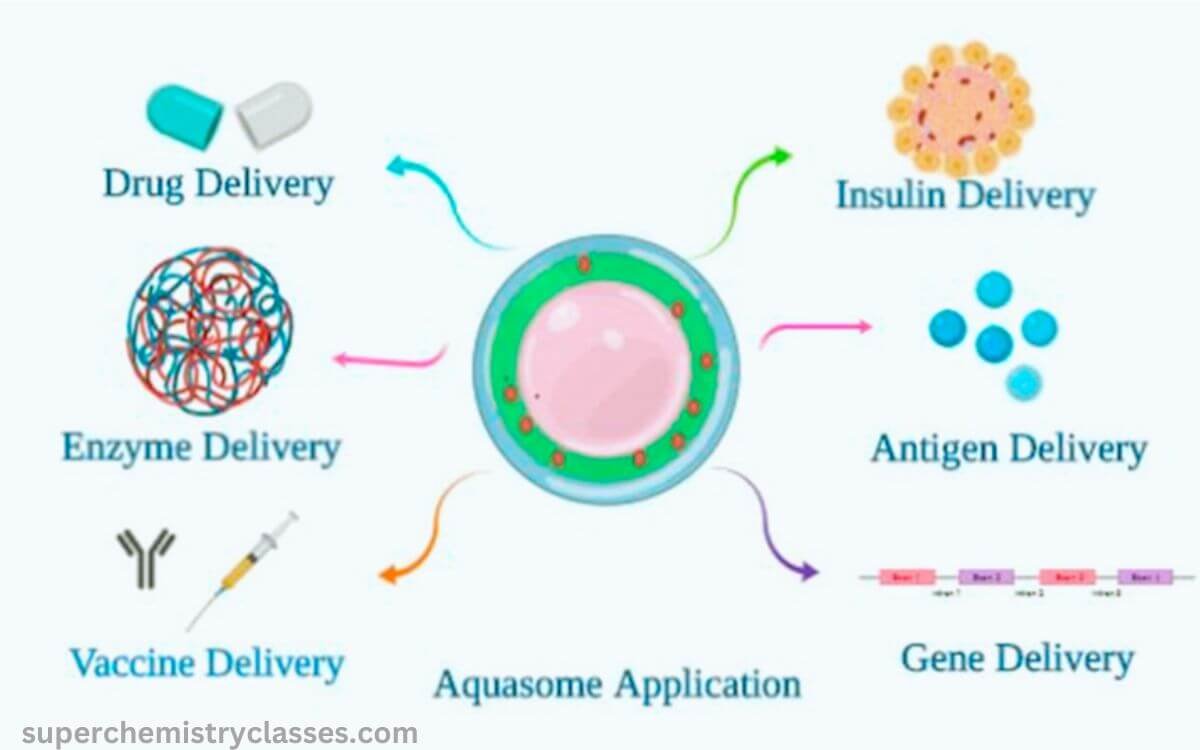Exploring the Industrial Applications of Enzymes: Innovations and ...