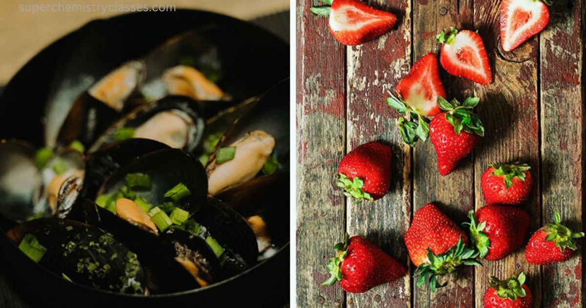 Molecular Gastronomy Recipes for Beginners: Turning Science Into ...