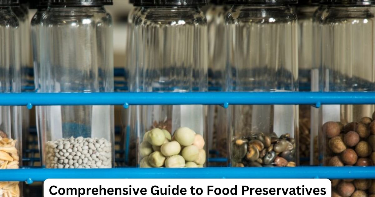 Comprehensive Guide to Food Preservatives - Super Chemistry Classes
